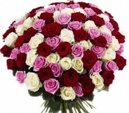 Букет 101 роза Классик - Топ-Цветы