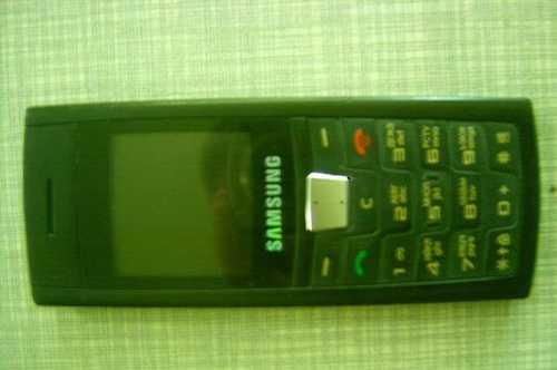 Мобильный телефон Samsung SGH-C170