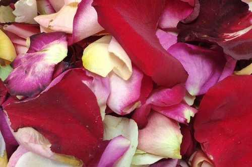 Лепестки роз