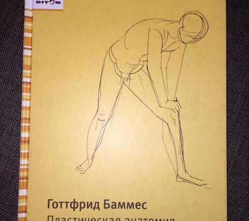 Книга Баммес "Пластическая анатомия и визуальное в