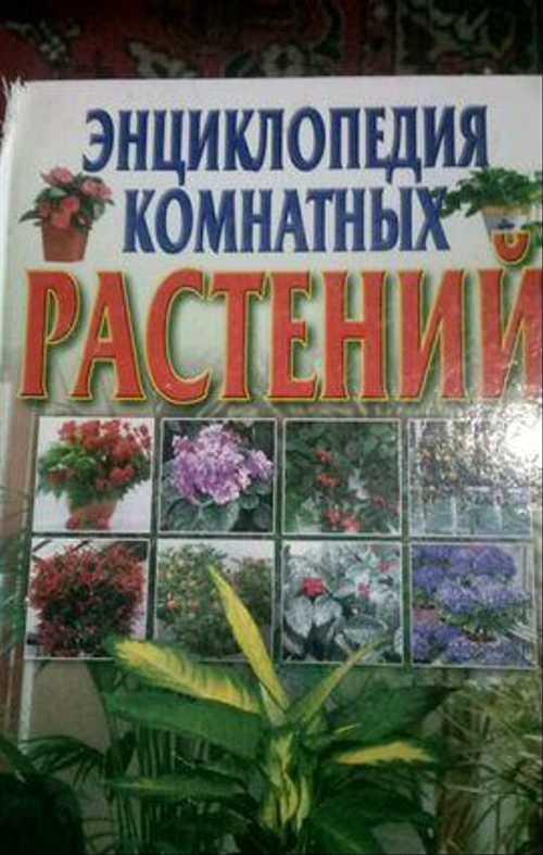 Энциклопедия комнатных растений