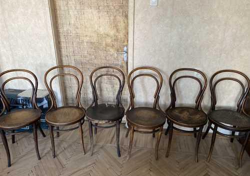 Стул венский thonet