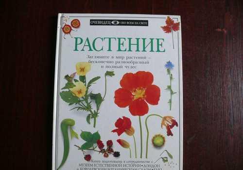 Очевидец Обо всем Растение Акула Лошадь Деньги