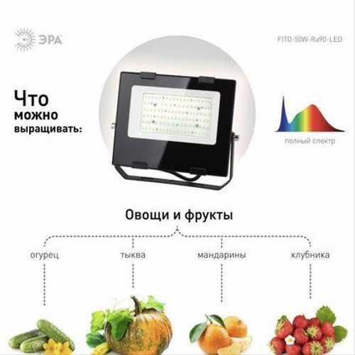 Фито прожектор на штативе фито лампа фитосветильни