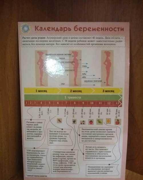 Календарь беременности