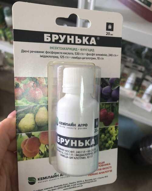 Брунька инсектофунгицид