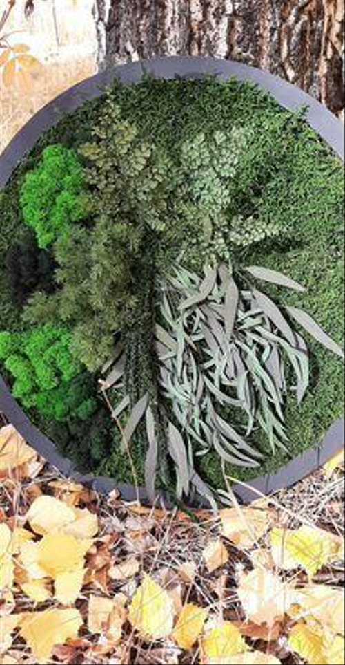 Круглая картина из мха