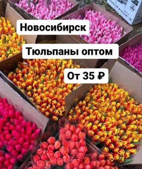 Тюльпаны оптом