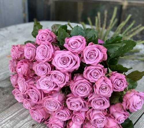 Букет из 35 роз сорта Мери Тим