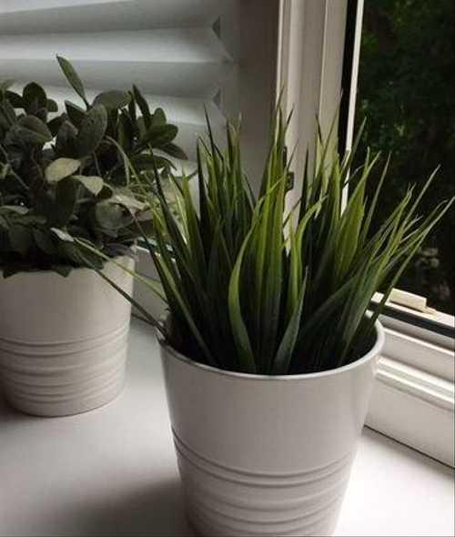 Растения IKEA с кашпо декоративные 2 шт
