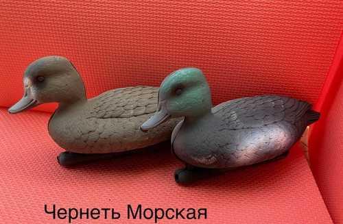Чучела утка морская