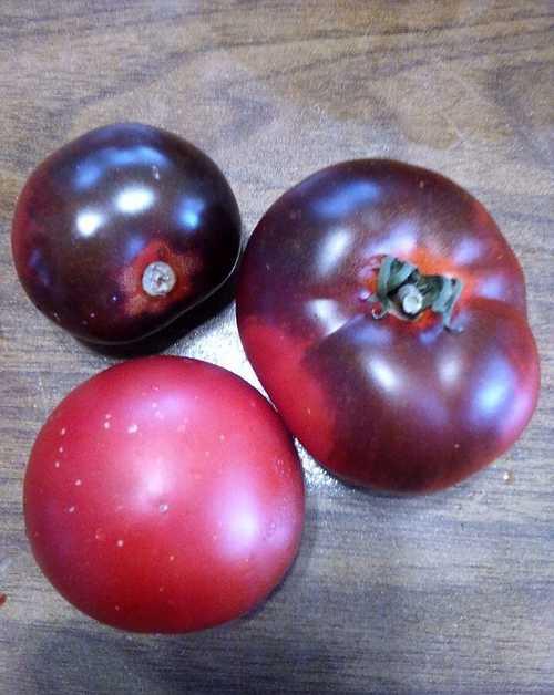 Семена редких сортов томата