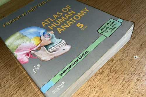 Атлас анатомии Ф. Неттер. Atlas of human anatomy 5