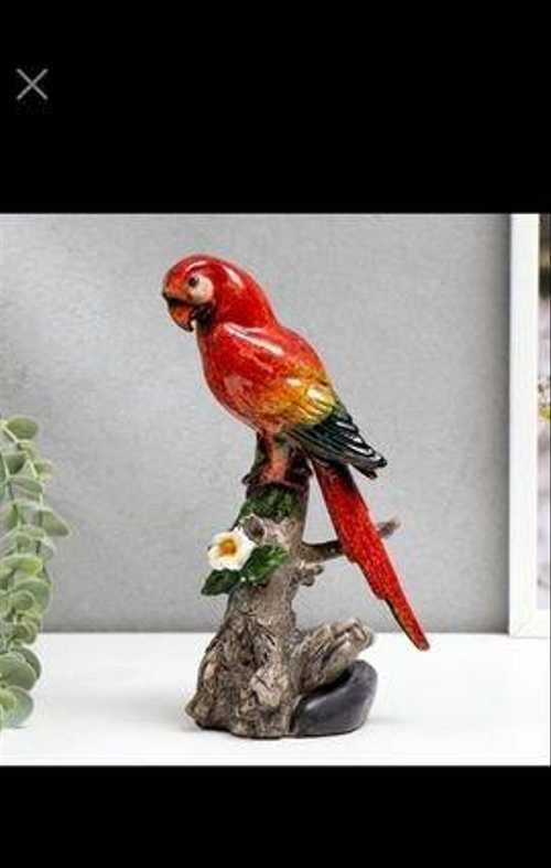 Сувенир попугай