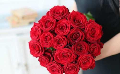 Букет розы красные 17 шт крупные сорта Red Paris