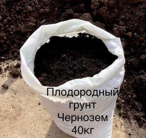 Плодородный грунт. Земля плодородная
