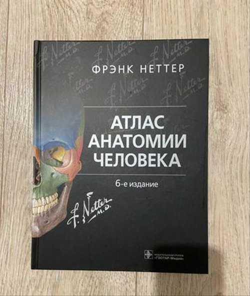 Атлас анатомии человека неттер