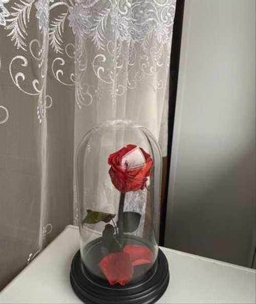 Вечная роза в колбе