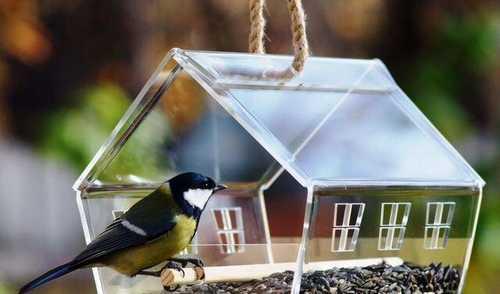 Прозрачная кормушка для птиц "Княжий дом"