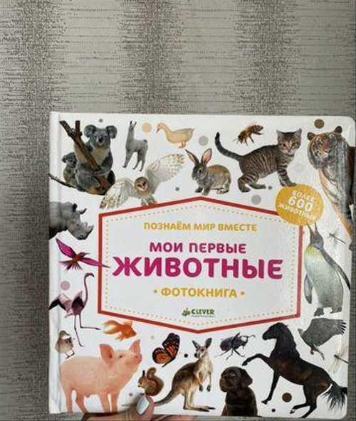 Clever «Мои первые животные» книга
