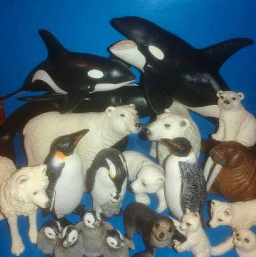 Schleich (Шляйх) Север. Море