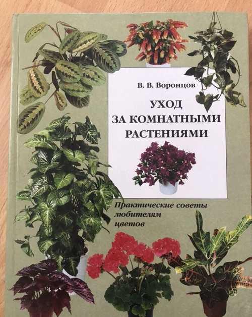 Комнатные растения