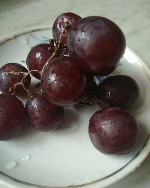 Саженцы винограда Рошфор на Мехзаводе