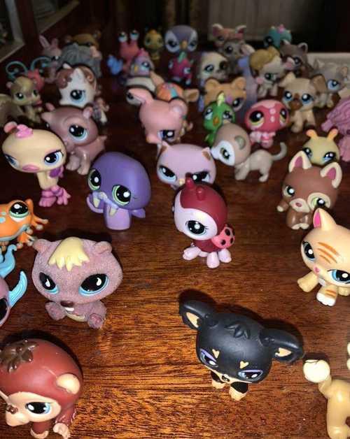 Игрушки Hasbro littlest Pet Shop