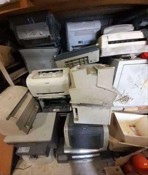 Принтеры и мфу