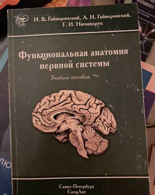 Гайворонский, функциональная анатомия нервной сист