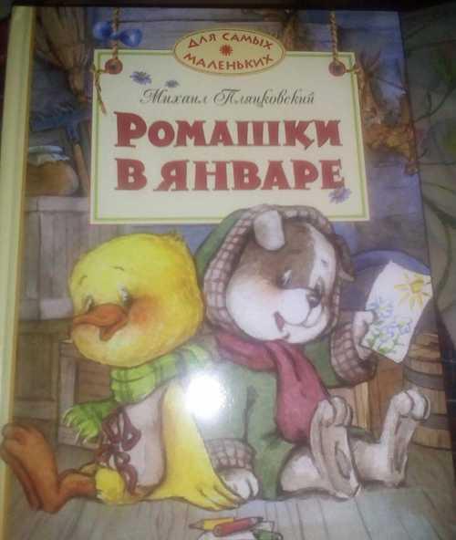 Книга сказок,Ромашки в январе