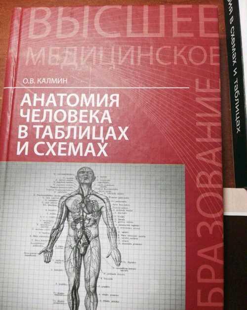 Тони гайворонский. Методички по анатомии. Методичка по нервам Гайворонского. Методичка Гайворонского периферическая нервная система. Методички Гайворонского по анатомии.