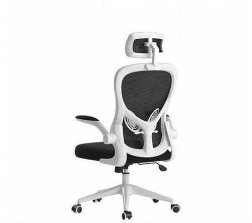 Кресло компьютерное Hbada Ergonomic (hdny163WG/BG)