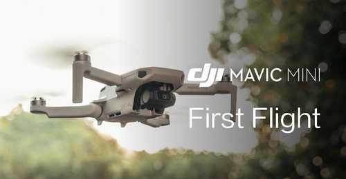 DJI Mavic Mini квадрокоптер, Аэрокамера - для всех