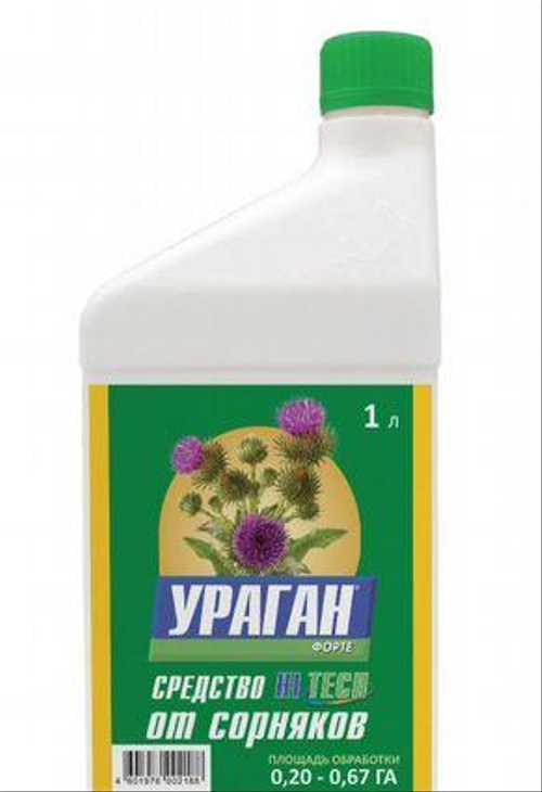 Ураган Форте
