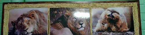 Картина постер львы