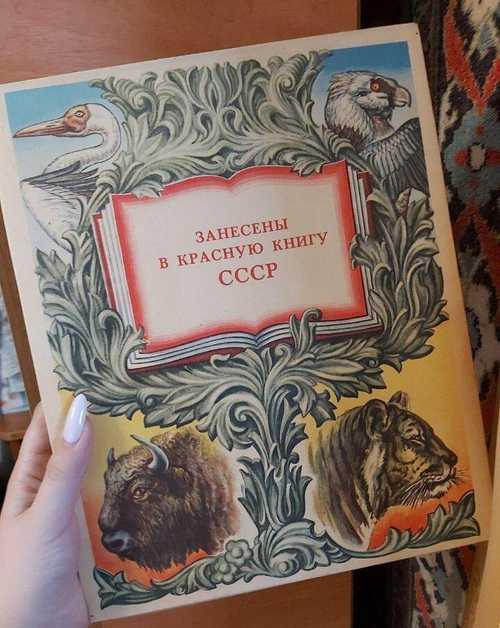 Набор спичек СССР