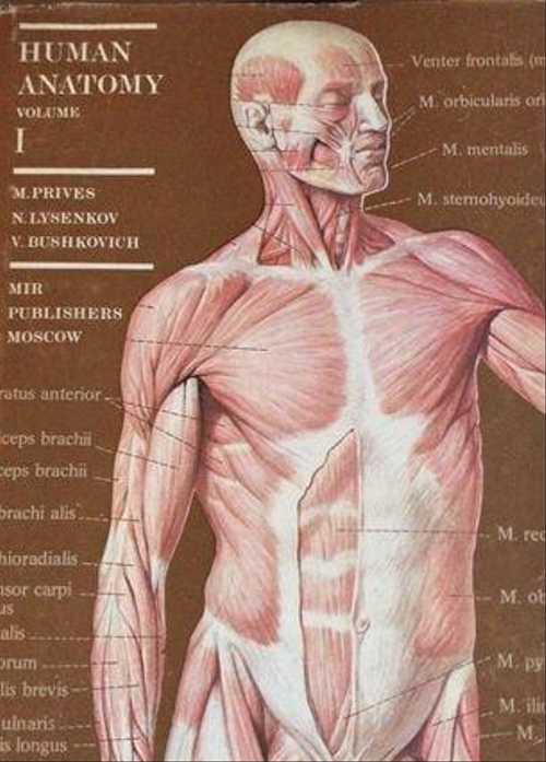 Привес анатомия. Anatomiya cheloveka v 2 KN KN 1 textbook Human Anatomy. Анатомия человека Лысенков. Атлас привеса анатомия. Анатомия человек книга 1.