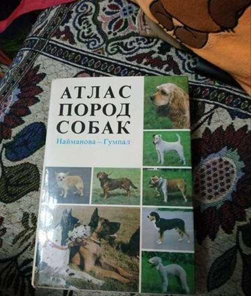 Атлас собак