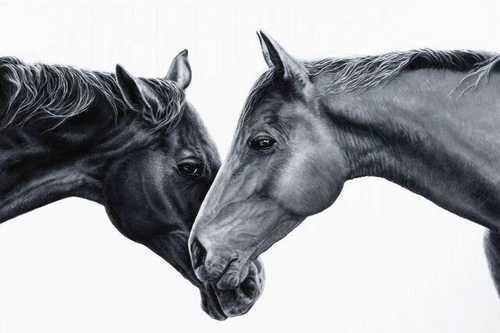 Картина маслом на холсте с лошадьми / лошади