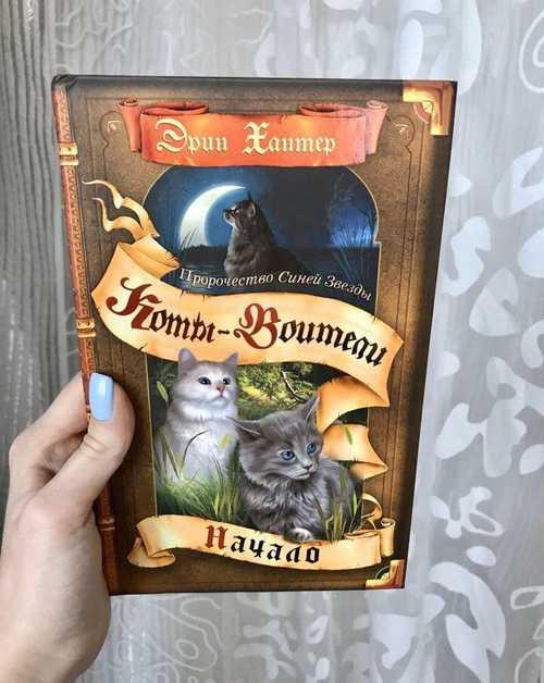 Книга Коты-воители. Пророчество Синей Звезды. Нача