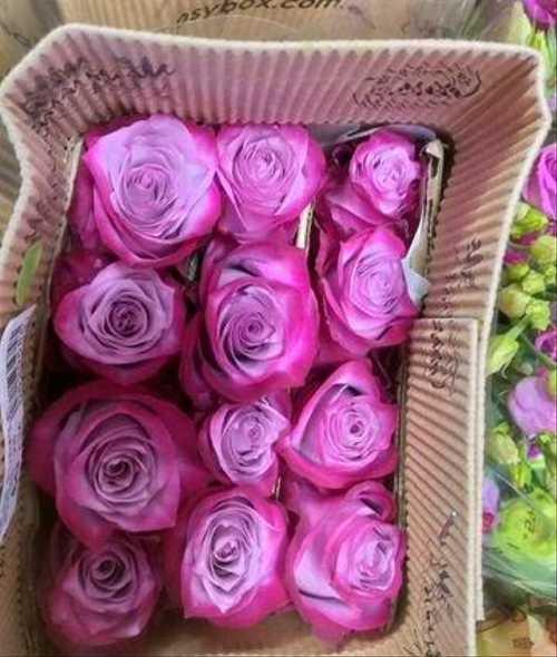Эквадорские розы, цветы, букеты, доставка Воронеж