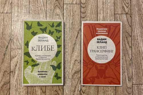 Книги вадима зеланда