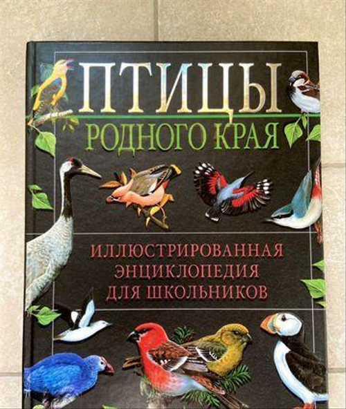 Птицы родного края энциклопедия новая