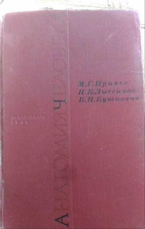 Книга Анатомия человека Привес