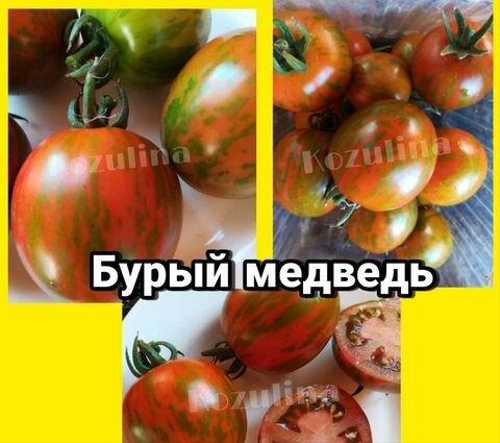 Семена томатов бурый медведь