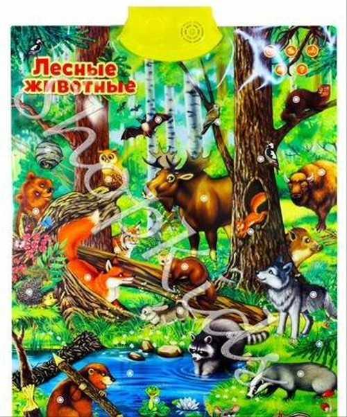 Звуковой обучающий плакат Лесные животные 55см