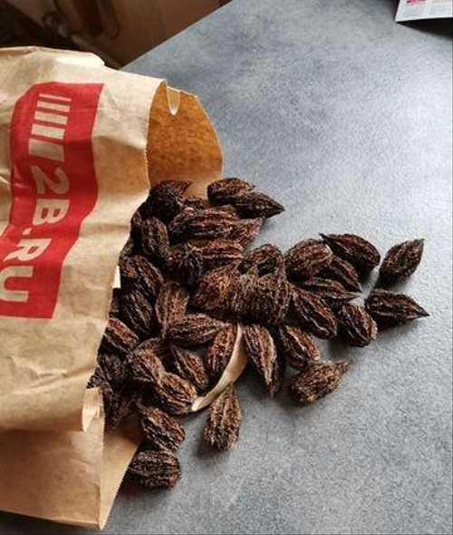 Семена Маньчжурского ореха