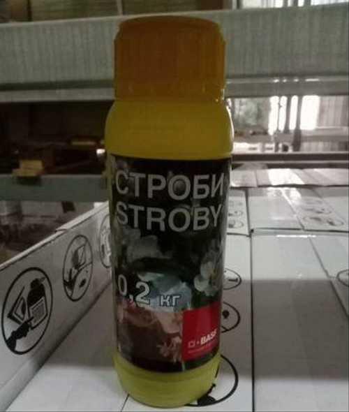 Строби