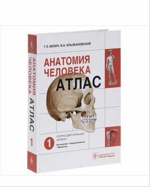 Книга раскладушка анатомия